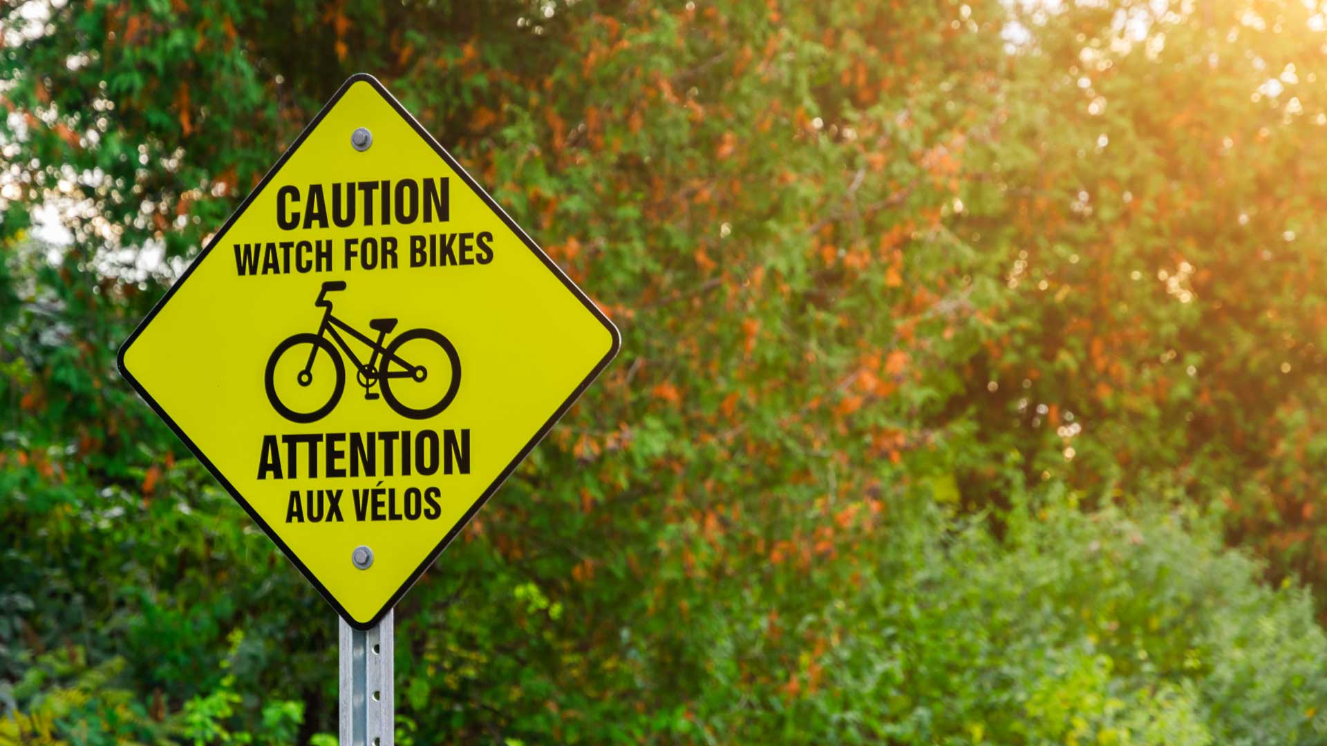 What Does The Bicycle Sign Mean? Road Bicycle Signs - Gear Glimpses