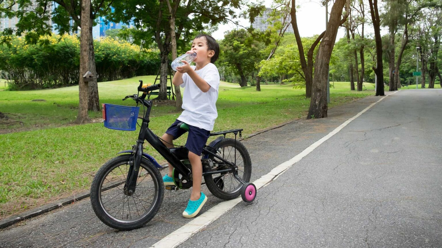 What is a Push Bicycle? Things You Didn't Know About Push Bike - Gear ...